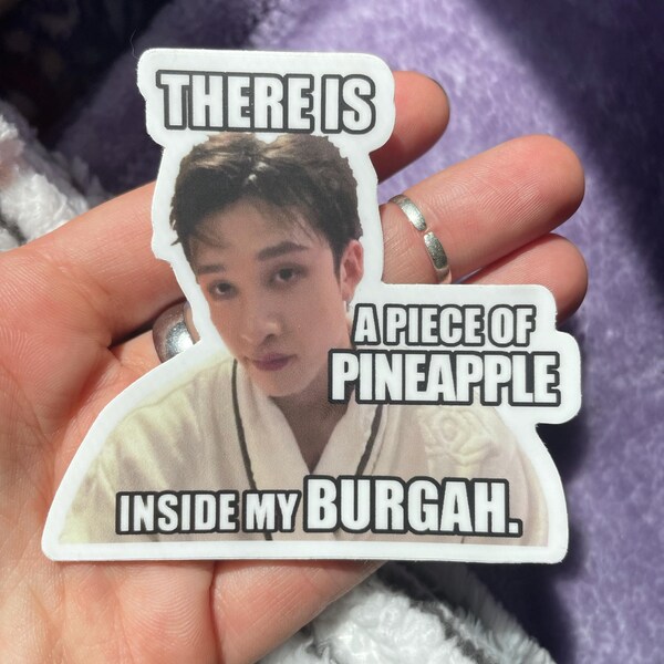 Stray Kids Bang Chan Meme Stickers - Etsy