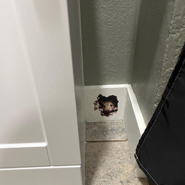 Rustic Brown Wood Barn Door Wallpaper Sticker DIY Peel and Stick Wooden ...