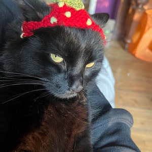 MATCHING SET Hand Knitted Strawberry Cat Hat With 2 Matching Hats for ...