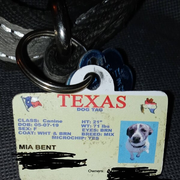 20 Pcs! License Plate Rectangle Double-sided Dog Bone Pet ID Tag ...