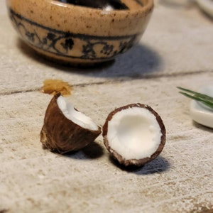 Miniature Coconut for a Dollhouse, 1/12 and 1/6 Scale Realistic Fruits ...