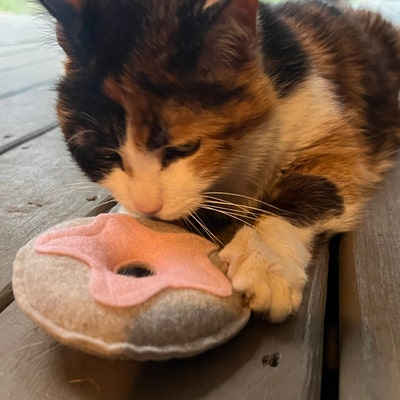Pepperoni Pizza Slice Catnip Cat Toy Ready to Ship, Gift for Cat Lover ...