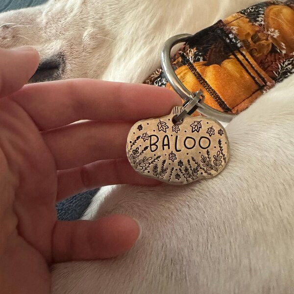 Space Themed Dog Tag, Dog Tags for Dogs, the Galactic Explorer ...