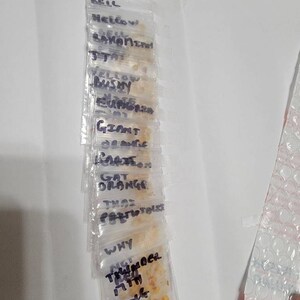 Korean Gochu Pepper Seeds - Etsy