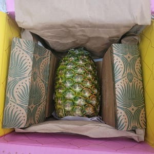 Tamarillo - Tree Tomato Box - Etsy