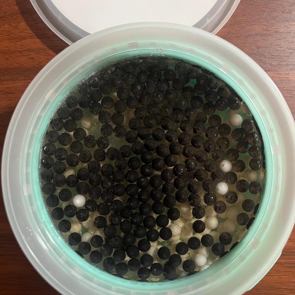 Reuseable Picky Pad DIY Kit, Kit to Make Your Own Picky Pad! Comes With ...