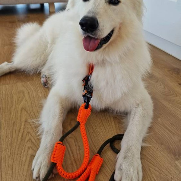 Crossbody Climbing Rope Dog Leash, Hands Free Dog Leash With Custom ...