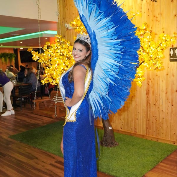 Blue Samba Dance Costume, Cosplay Costume, Trinidad Carnival, Caribbean ...