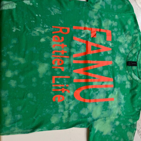 FAMU, Florida A&M University, College Graduate, HBCU Graduate, FAMU ...