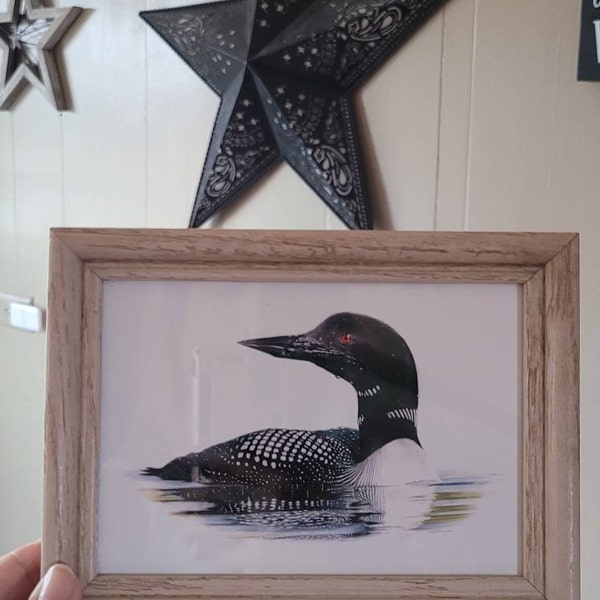 Common Loon - Colored Pencil Drawing - Art Print - Etsy Canada