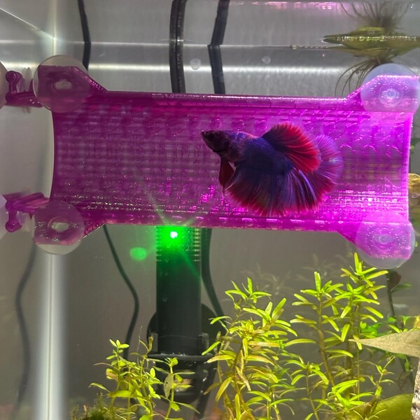 Seeshelter® Brand Betta Tunnel "gemstone Collection" - 11 Colors ...