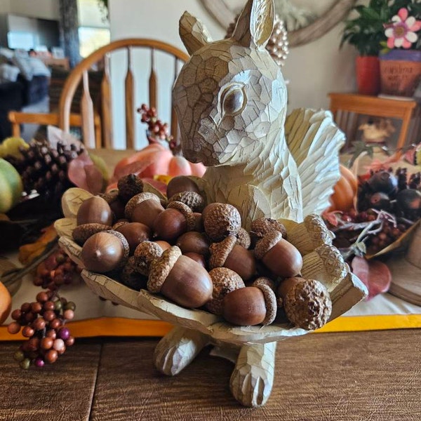 2025 Germinated Utah Red Oak Acorn Sprouted Sets for Growing Northern ...