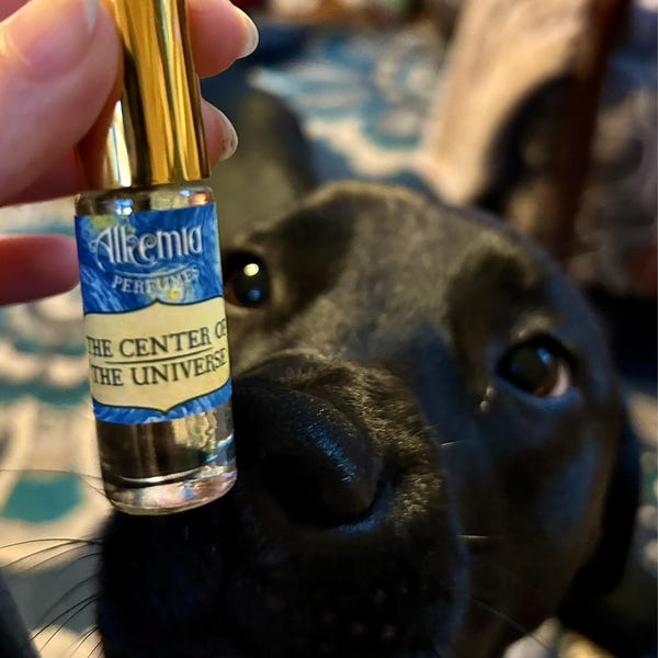 Alkemia Perfumes Introductory Sample Set - Etsy