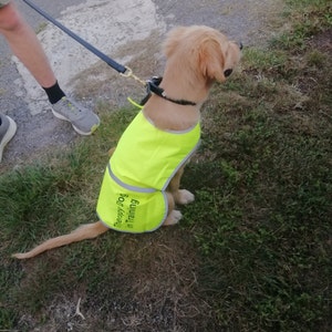 Personalised Dog High Vis Vest Coat Safety Reflective Pet Hi-vis Custom ...