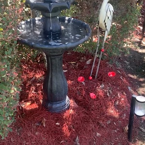 Eye Art Sculpture Garden Stake Eye Doctor Gift Potted Plant - Etsy