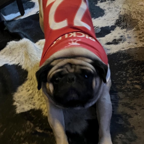 Liverpool FC -inspired Personalised Pet Tank Top With Original FC Logo ...