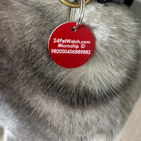 Deeply Engraved 3mm Thick Plastic Dog Tag, 27mm Round - Etsy