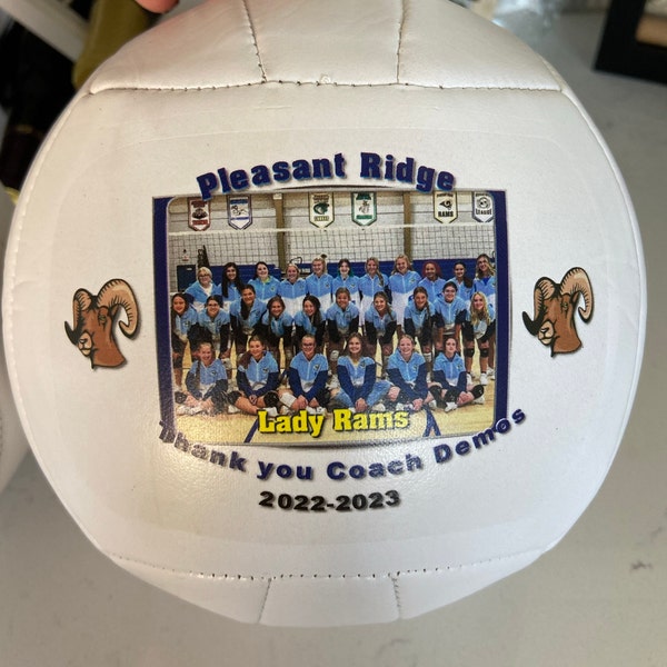 Custom Photo Volleyball - Full Regulation Size - 2 Sided Printing ...