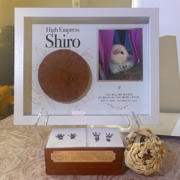 Paw Print Holder Pet Memorial, Clay Paw Print Display Shadow Box, Pet ...