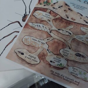 Editable Hopscotch, Sensory Path With WORDS & NUMBERS, Printable Floor ...