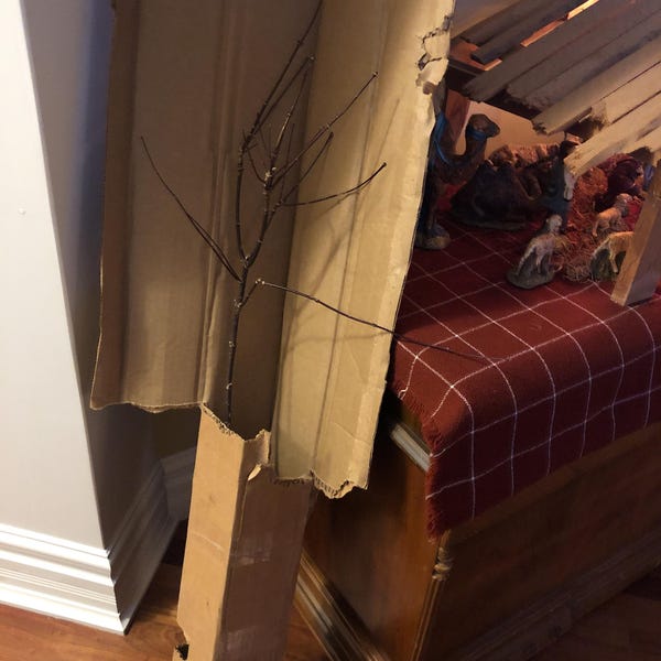 Viburnum Burkwoodii 'mohawk' Burkwood Viburnum Live Plant 4 Pot Size - Etsy