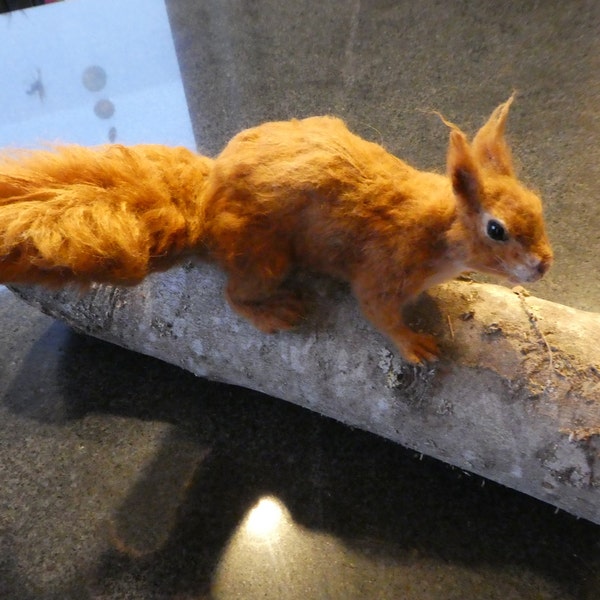 Needle Felted Animal. Red Squirrel. Made to Custom Orders - Etsy