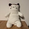Big Long Cat Crochet Pattern. Create You Own Big Long Cat Amigurumi ...