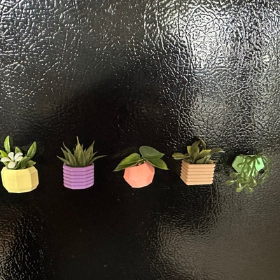 Mini Succulent Fridge Magnet Planter Fridge Magnet Plant Lover Gift ...