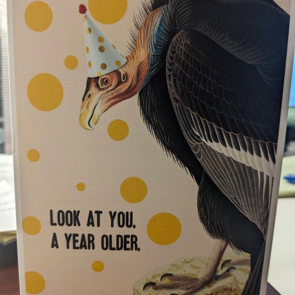 Vulture Birthday Card, Funny Greeting Card, Humor Bday, Bird Card ...