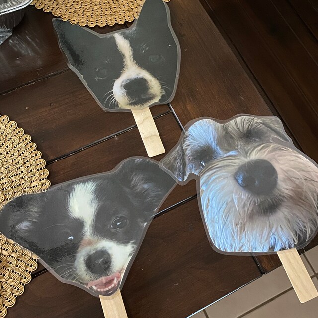 PartyPixSticks - Etsy