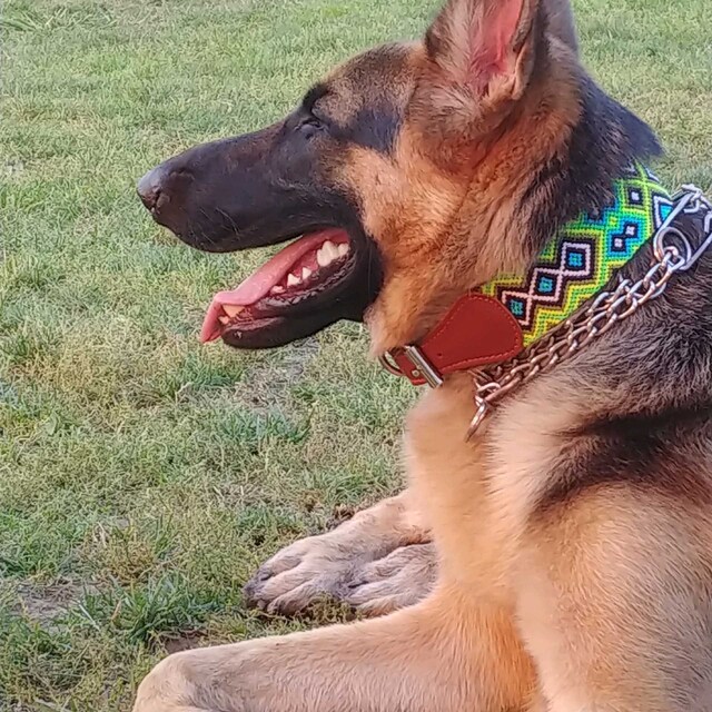 Boujee Barks Unique Bandannas Dog Collars Leashes by BoujeeBarks