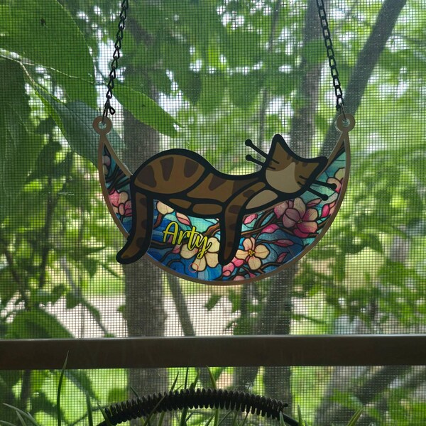 Coin Holder Travel Personalized, Coin Collection Display Foreign ...