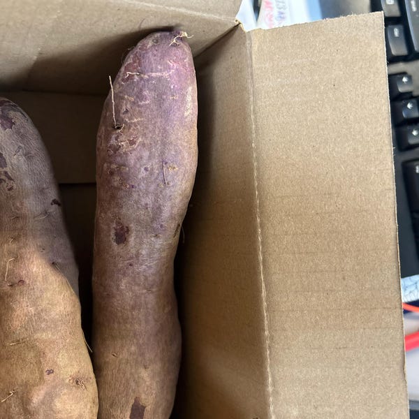 Japanese Purple Organic Sweet Potatoes Yam Potato Tubers Heirloom Non ...