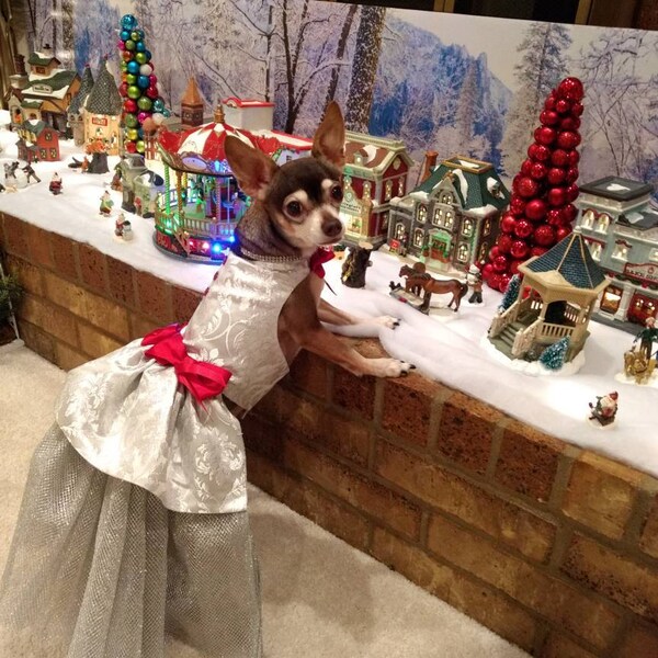 Zilveren brokaat feestjurk - Etsy België