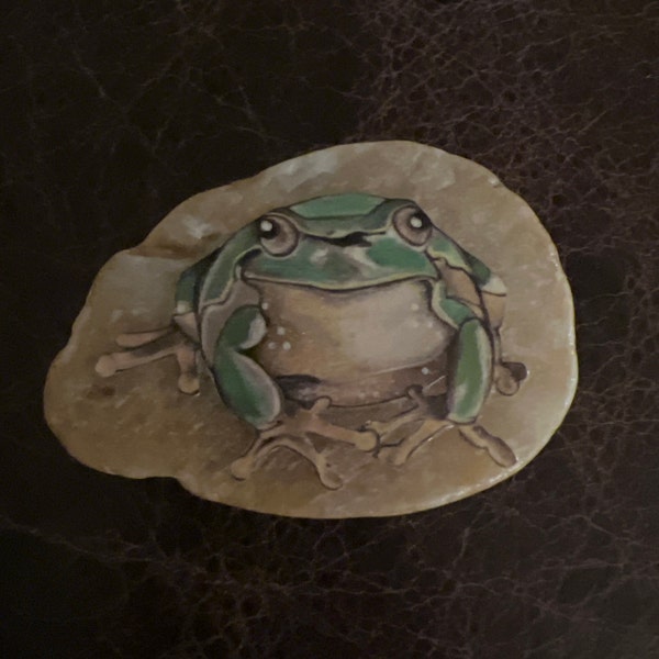 Luna Moth Stone, Spirit Insect Pocket Rock Totem, Small Metaphysical ...