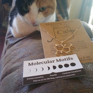 Catnip Molecule Necklace-cat Lover Gift-veterinarian Vet-cat Necklace ...