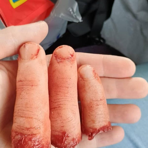 Spindle Sea Shells - 10 Real Sea Snail Shells - Etsy