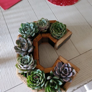 Music Note Succulent Vertical Garden / Living Hanging Wall - Etsy