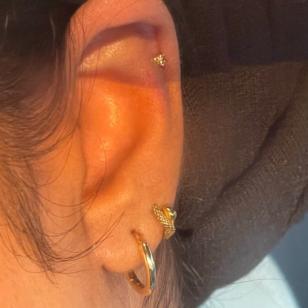 Snake Hinged Segment Hoop Earring, 16g Snake Cartilage Hoop, 16g Snake ...