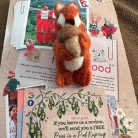 Hanging Mole With Specs Woodland Biodegradable Eco - Etsy UK