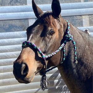 Black With Turquoise Lariat Rope Nose Muletape Halter With Matching 8 ...