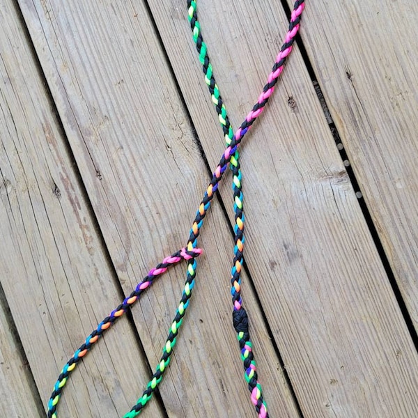 Rainbow Slip Leash, Paracord Dog Leash, Non-metal Slip Leash, Rainbow ...