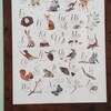 Woodland Alphabet Poster, Woodland Alphabet Print, Woodland Nursery ...
