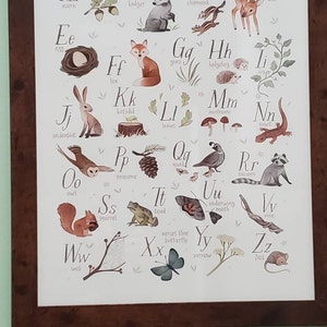 Woodland Alphabet Poster, Woodland Alphabet Print, Woodland Nursery ...