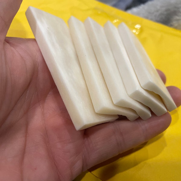 10 to 11 River Cooter Turtle Shell 1077-1011 Y3K - Etsy