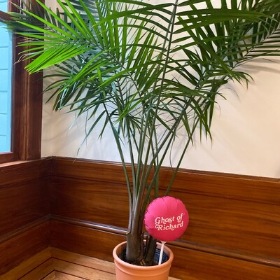 Sur Back Alley Dumpster Fire Desk Accessory Vanderpump Rules - Etsy