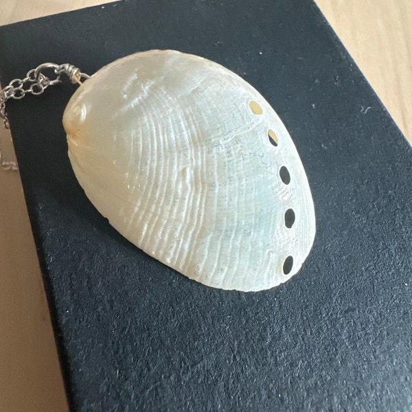 Real Natural White Shine Hue Abalone Seashell Shell Mother of Pearl ...