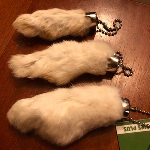 Lucky Rabbits Foot real - Etsy