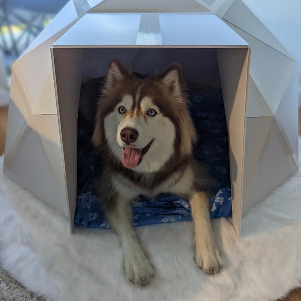 DIY Igloo / Six Sizes Included From 5ft to 10ft / Made Easy With Just ...