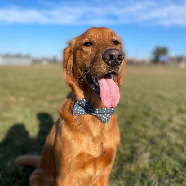 Reversible Dog Bandana, Sniffari Tie on Pet Bandana, Tan Plaid Dog ...